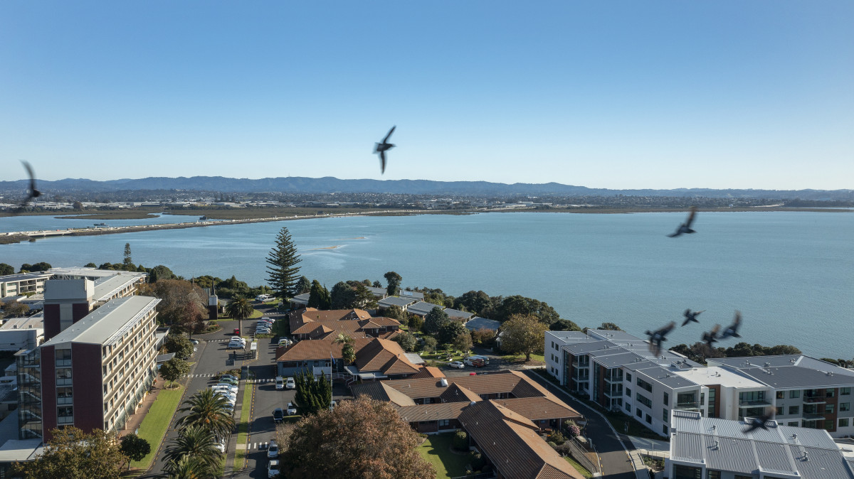 Selwyn Village Point Chevalier | Village Guide